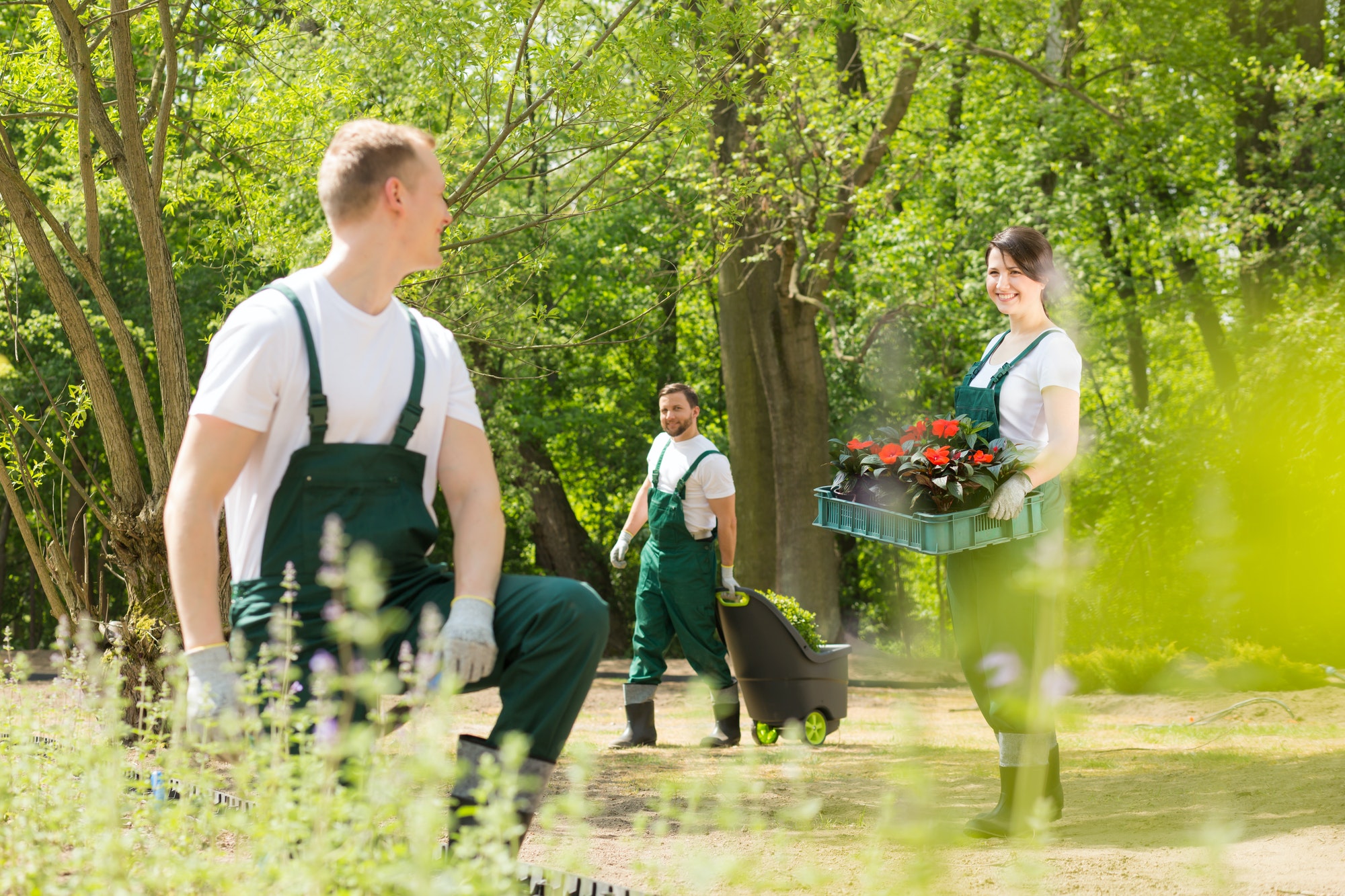 Services – southeastlandscapes.com.au